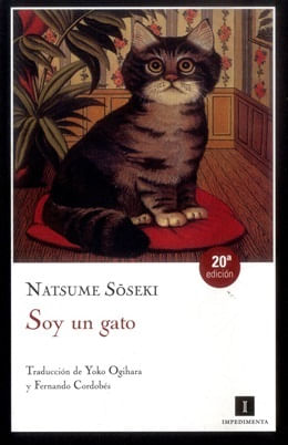 Soy Un Gato - Librería Nacional